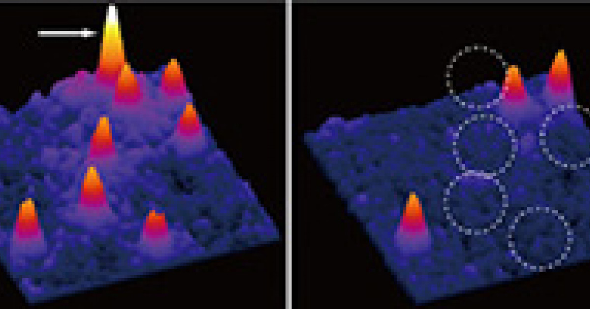Visualizing RNAi at work: How does single "RISC" accurately cleave and ...