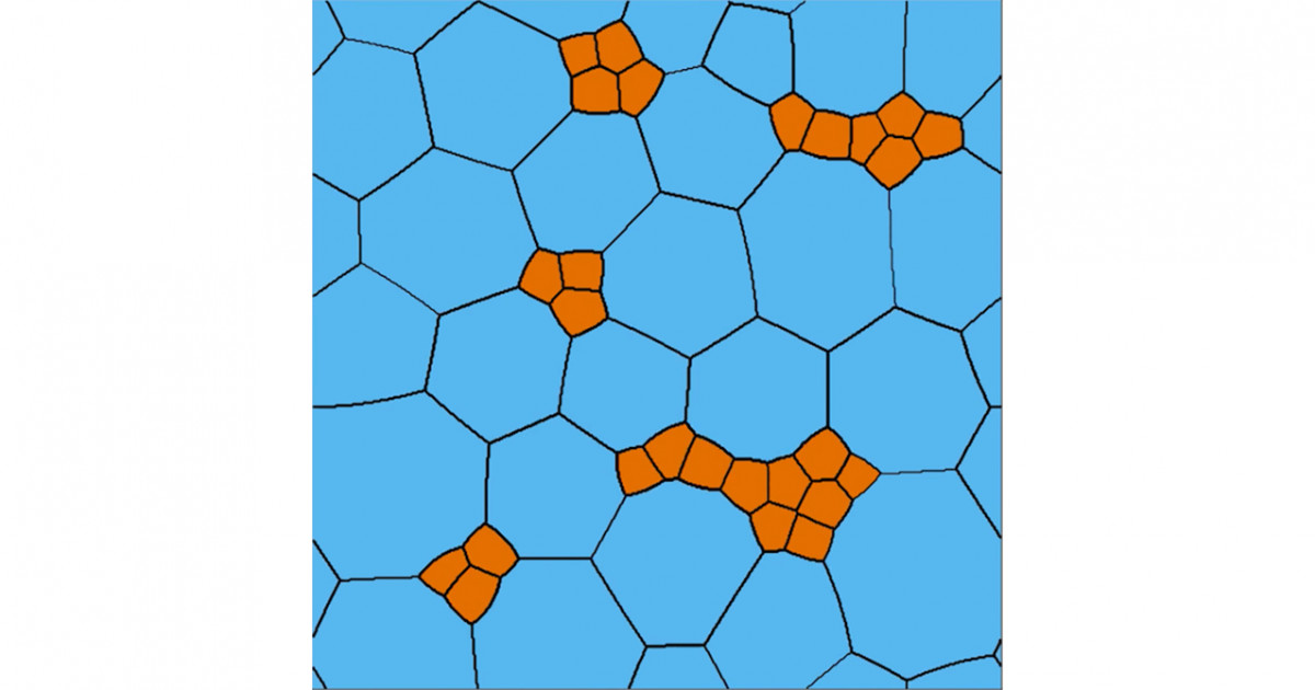 Cells know their math | Mirage News