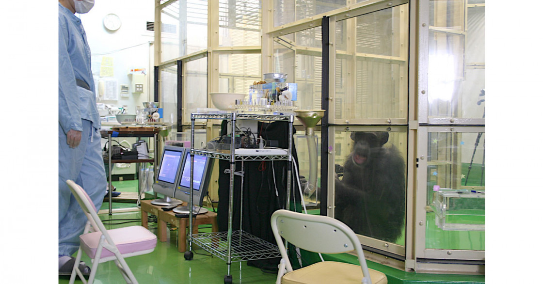 KYOTO UNIVERSITY