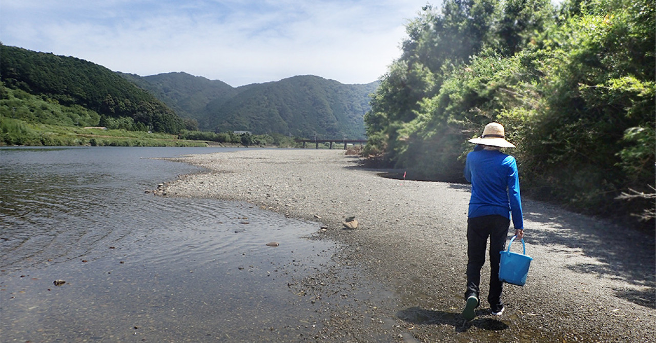 RESEARCH NEWS | KYOTO UNIVERSITY