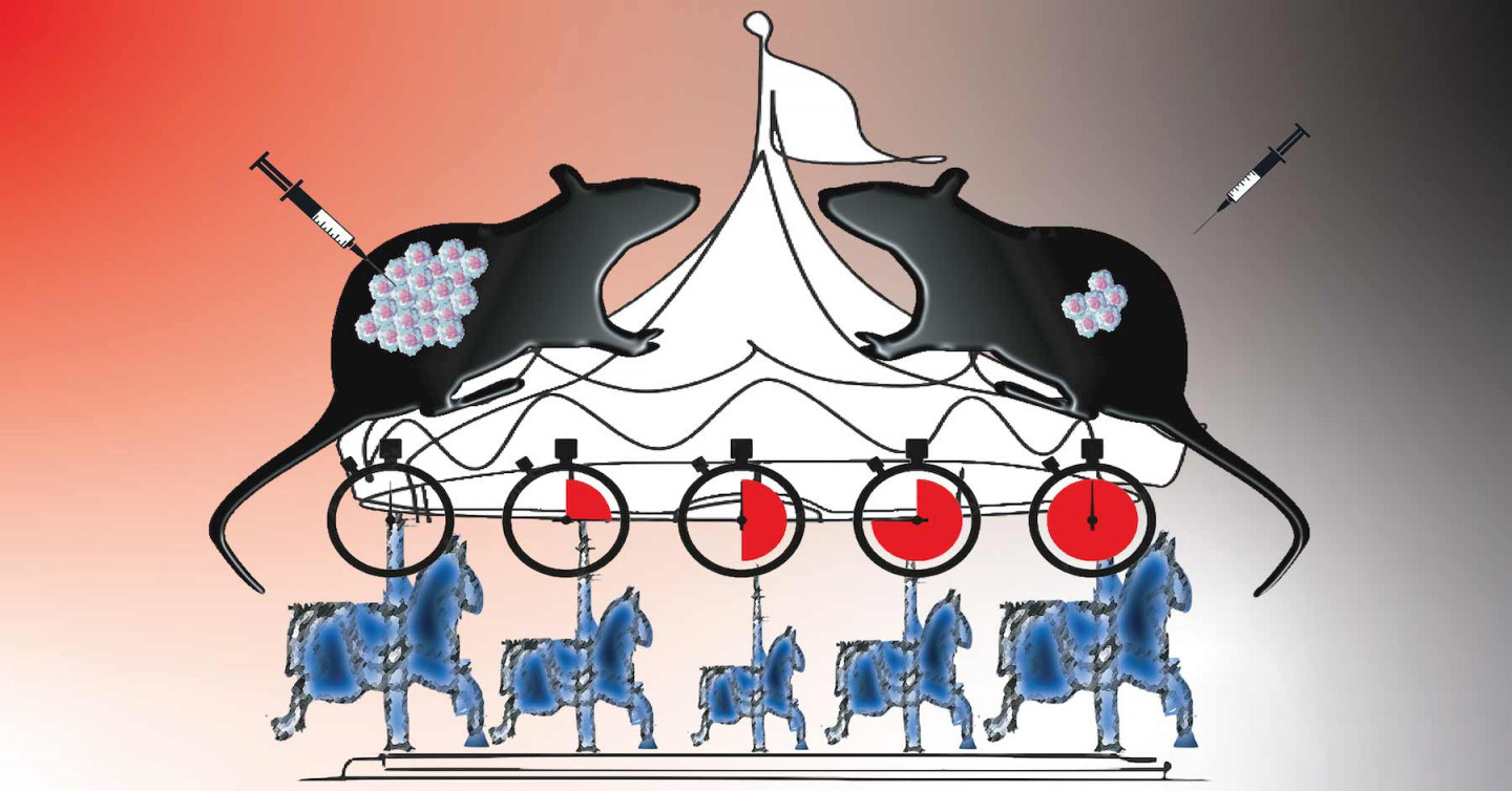 RESEARCH NEWS | KYOTO UNIVERSITY