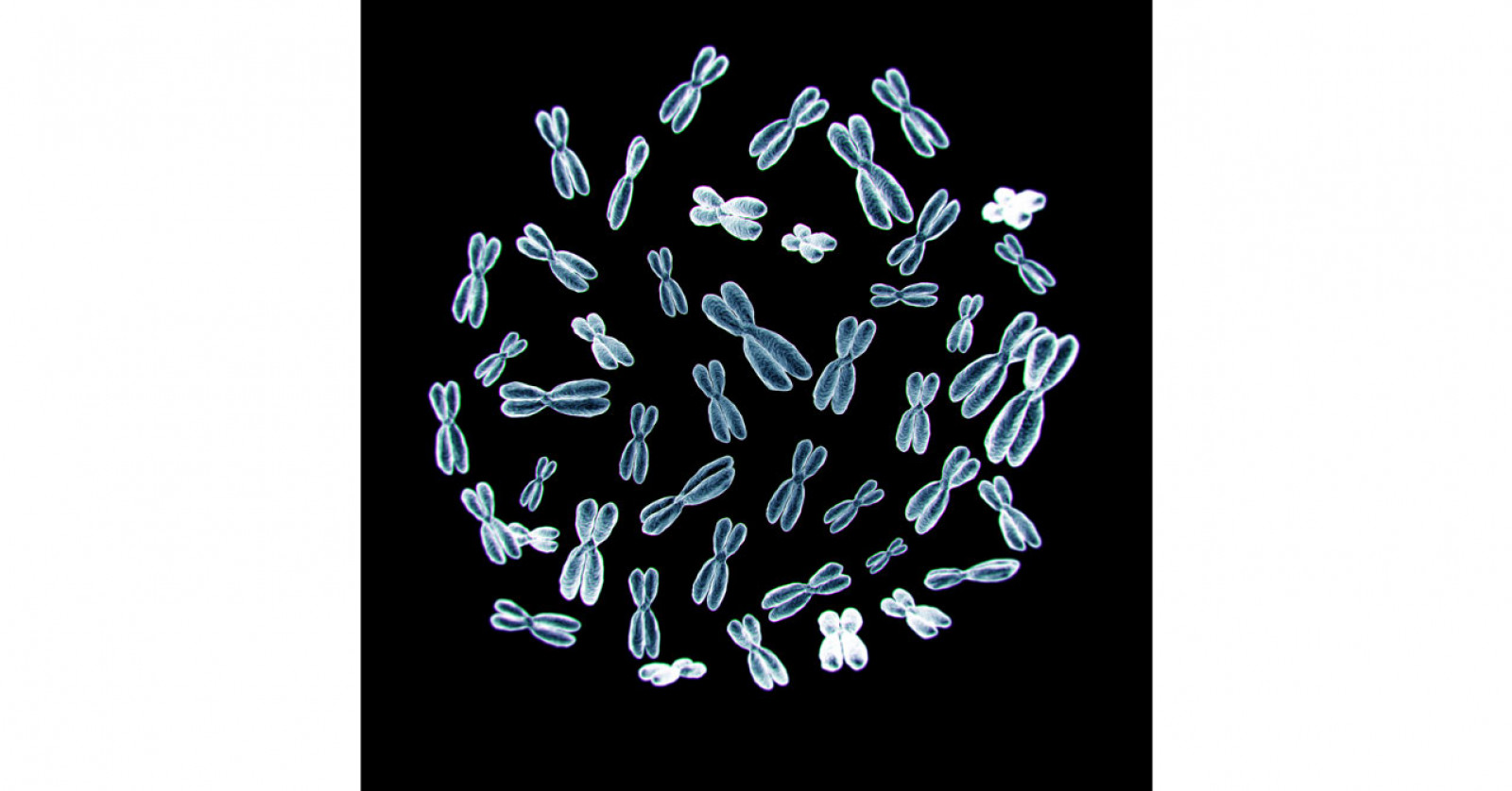 RESEARCH NEWS | KYOTO UNIVERSITY