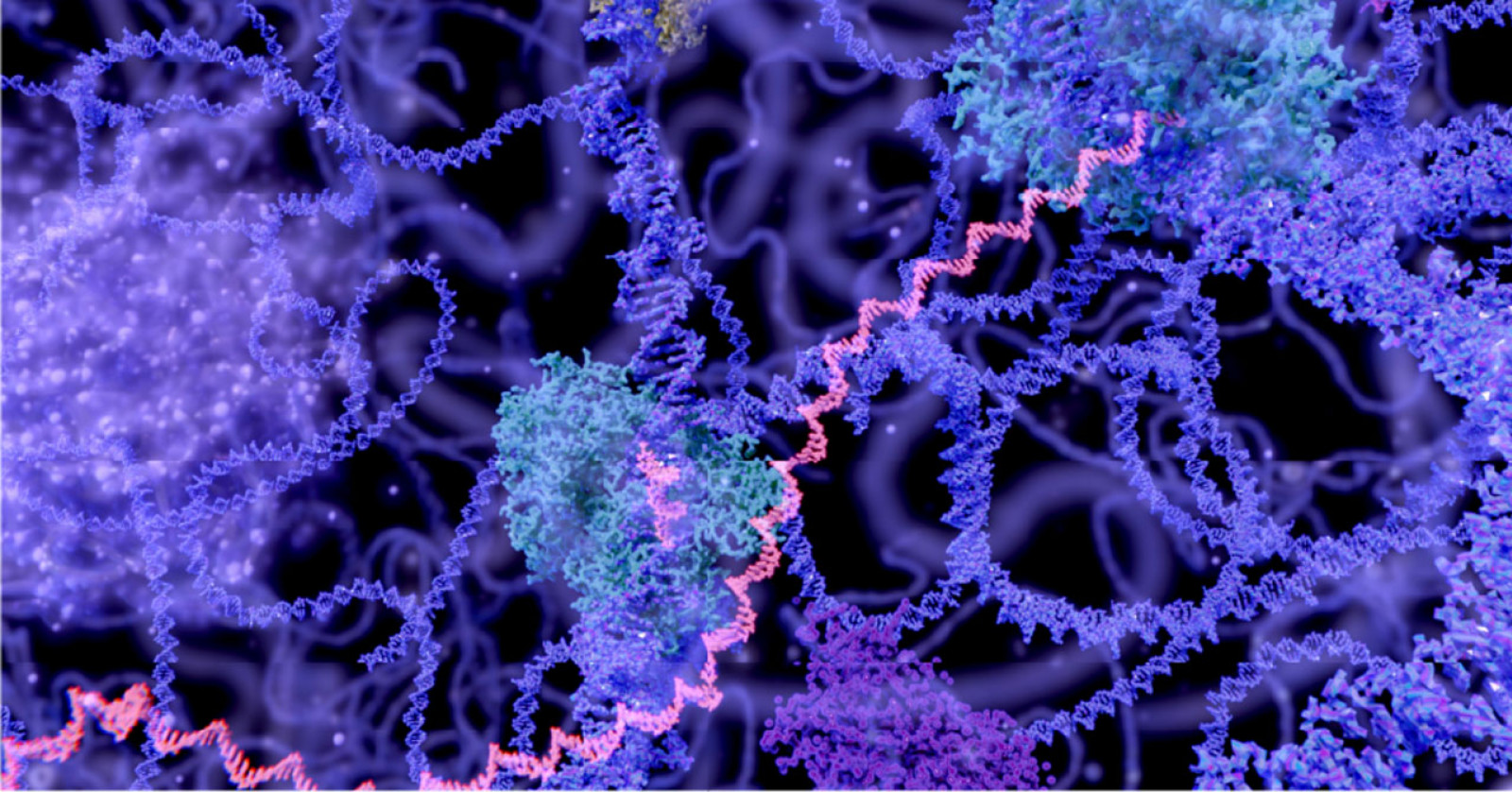RESEARCH NEWS | KYOTO UNIVERSITY
